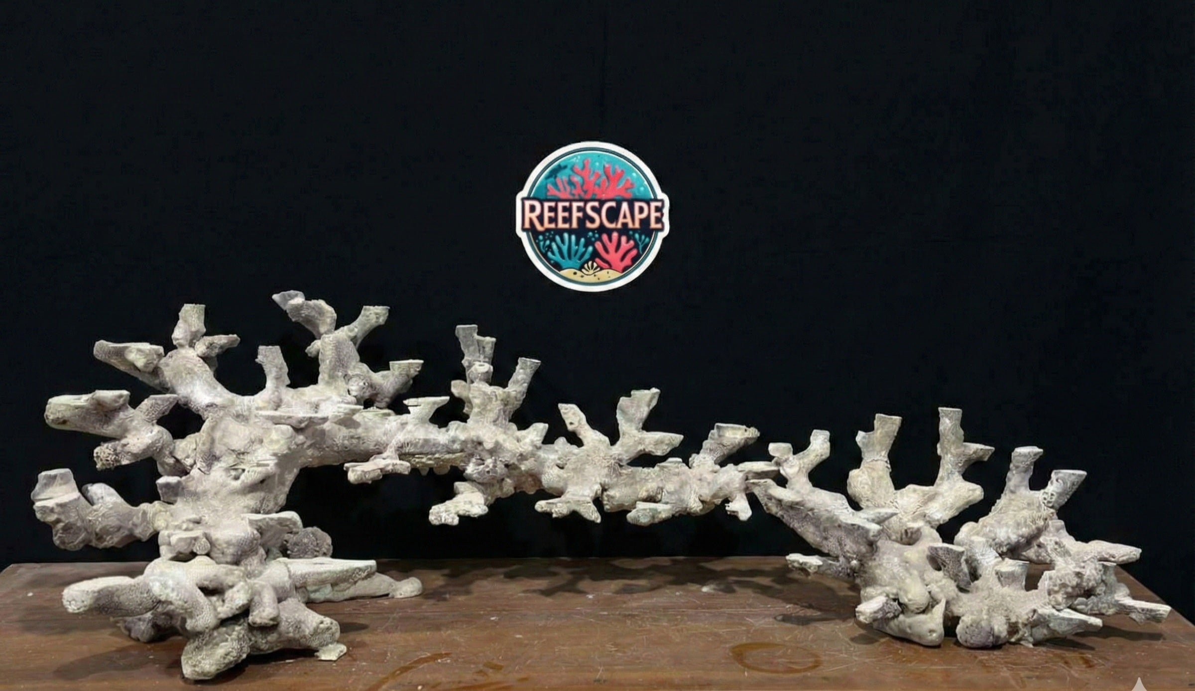 Bonsai layout #52 – Aquascape